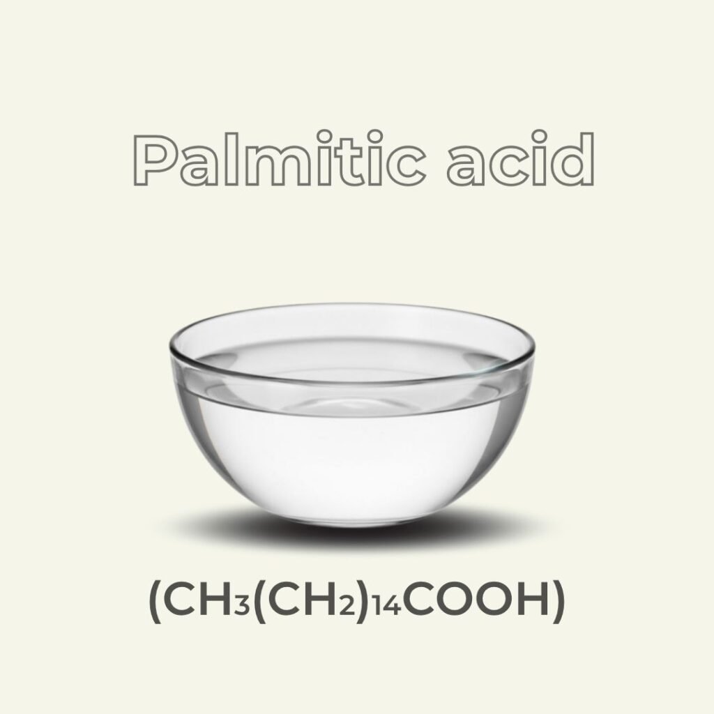Palmitic Acid - Rchem